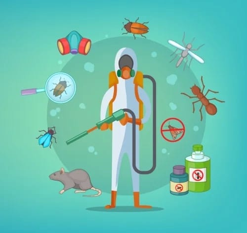 Pest Control, Inspection & Extermination Specialist in San Jose | Pest ...